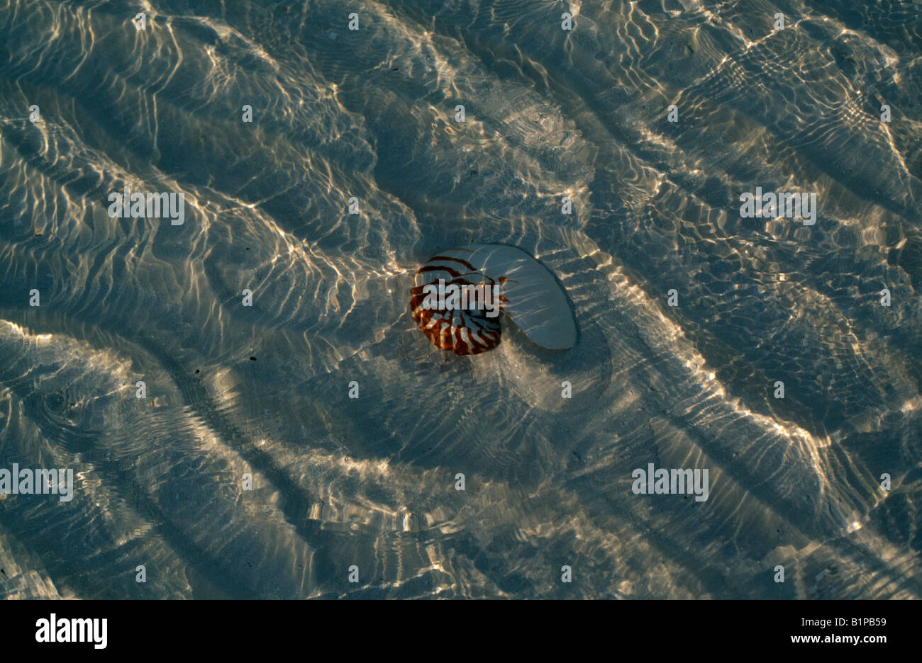 Cocoa island maldives hi-res stock photography and images - Alamy