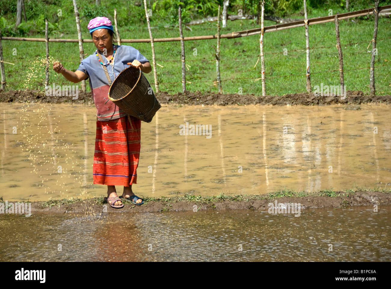 Sowing tribe hi-res stock photography and images - Alamy