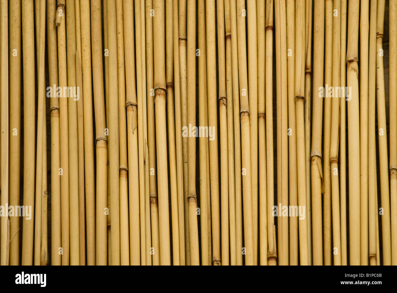 background of bamboo sticks Stock Photo - Alamy
