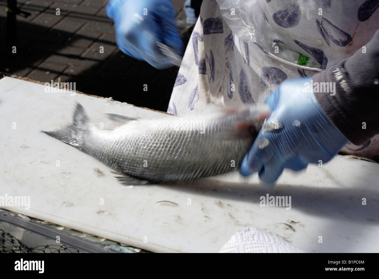 fish descaling fresh market farmers Stock Photo - Alamy