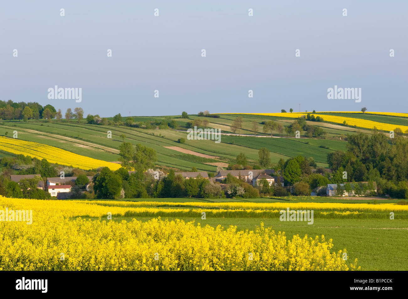 Rural landscape in Eastern Poland near Lublin Poland Stock Photo - Alamy