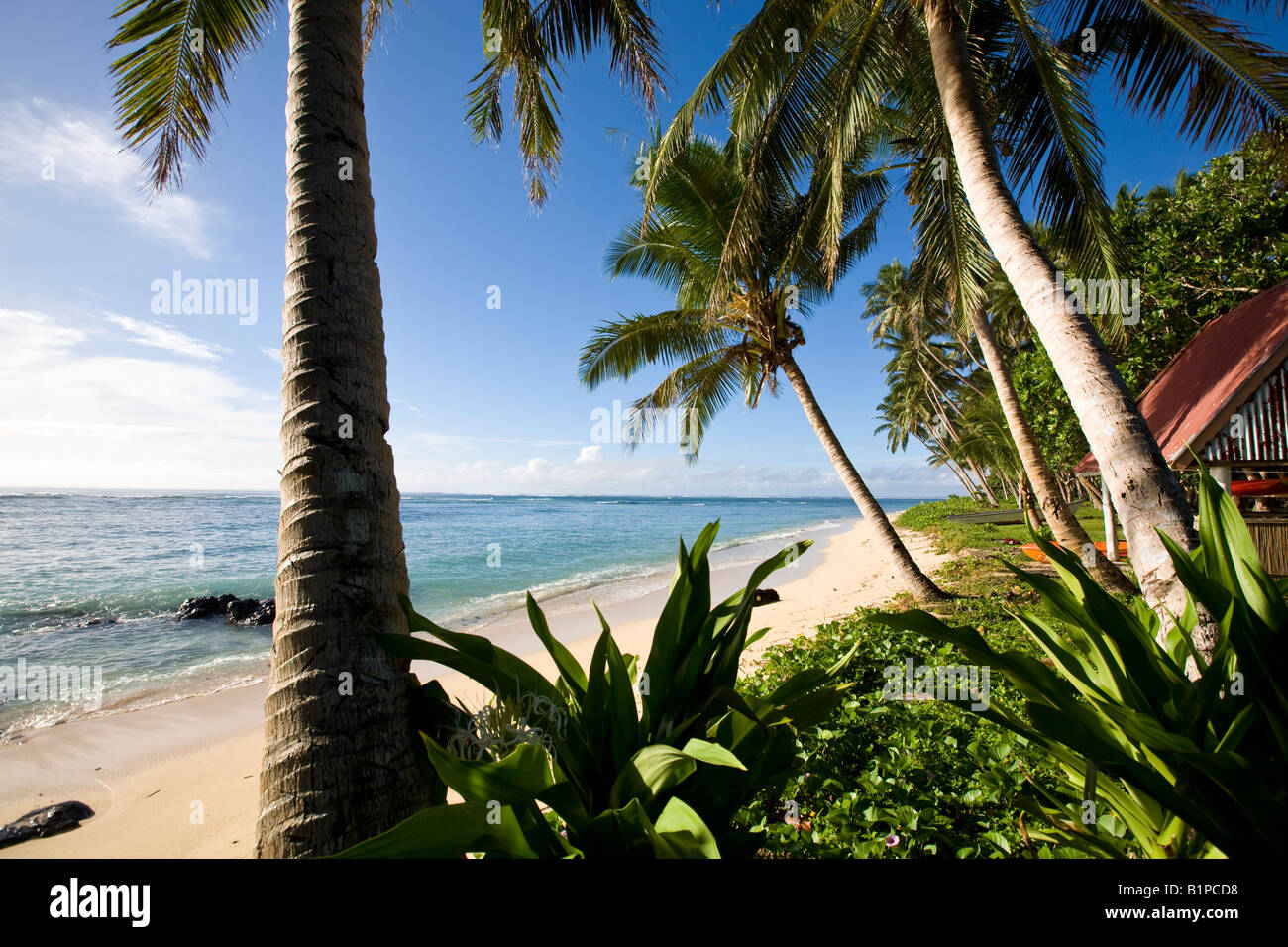 Lavena Beach Taveuni Fiji Stock Photo - Alamy