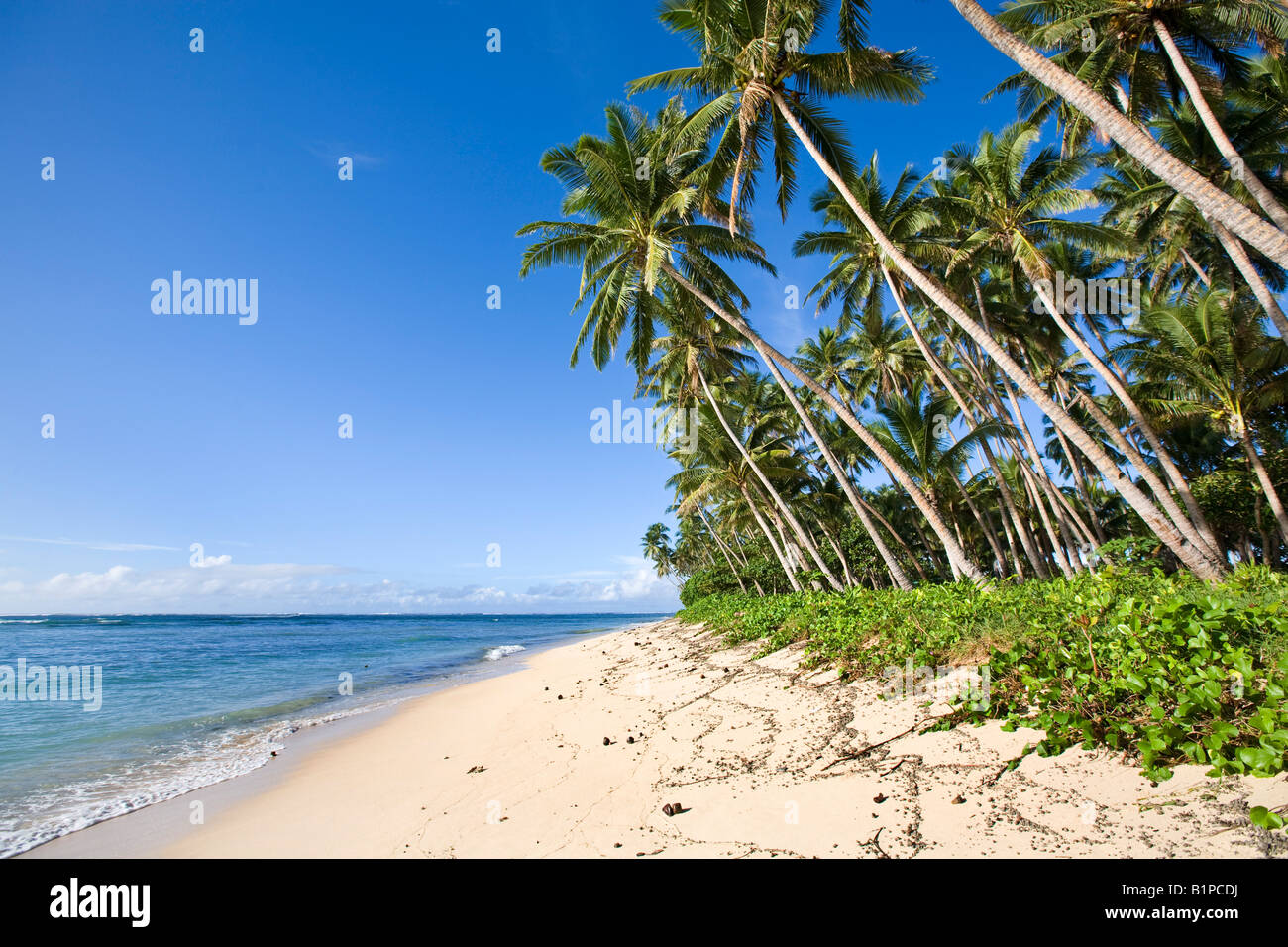 Lavena Beach Taveuni Fiji Stock Photo - Alamy