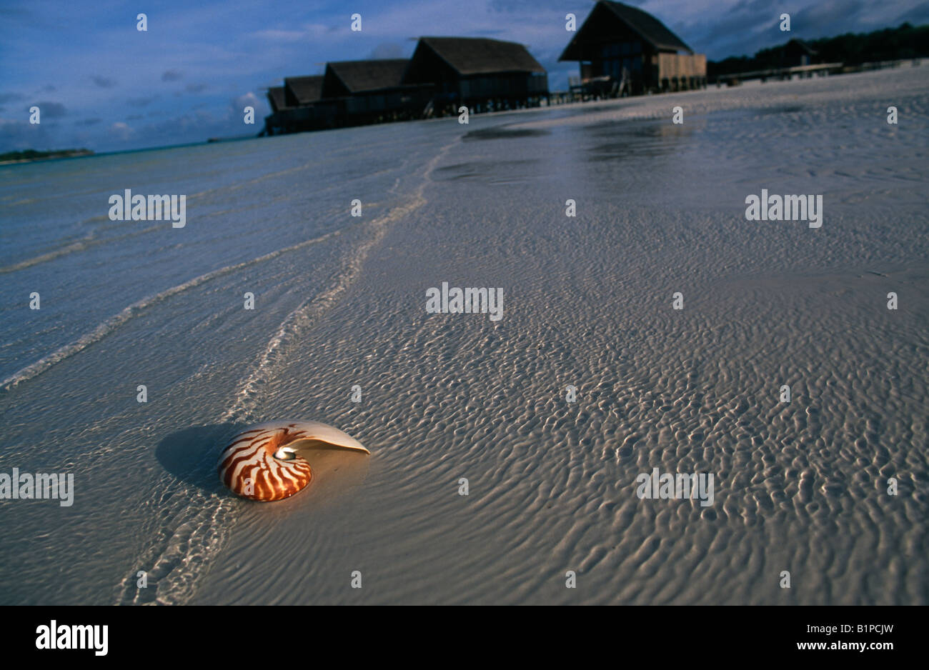 Waves on beach in maldives island hi-res stock photography and images ...