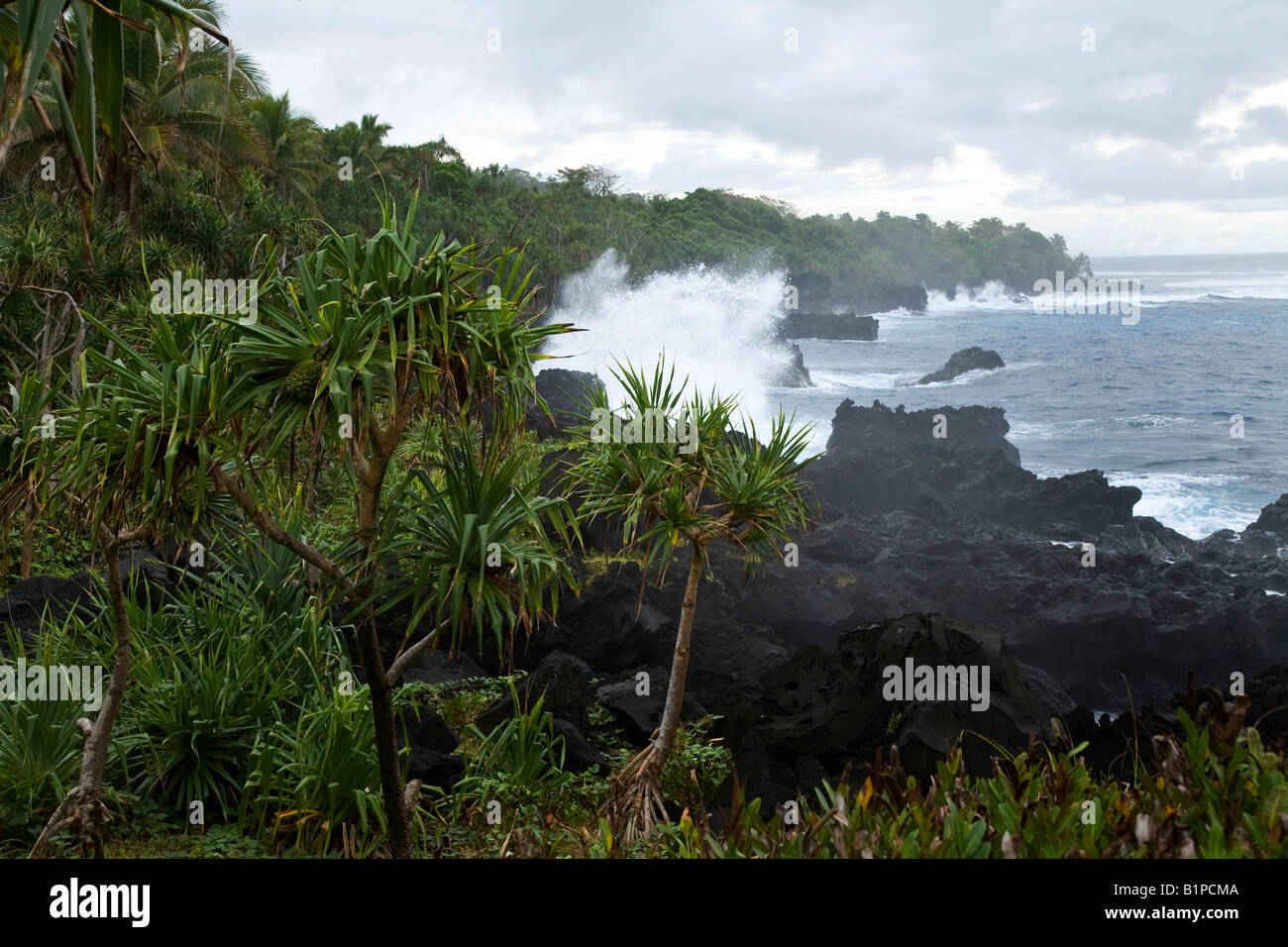 Blowhole fiji hi-res stock photography and images - Alamy