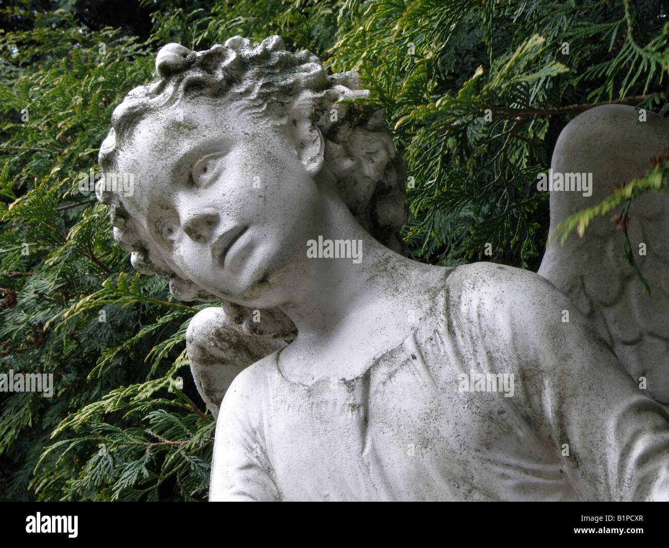 angel sculpture at cemetery Stock Photo - Alamy