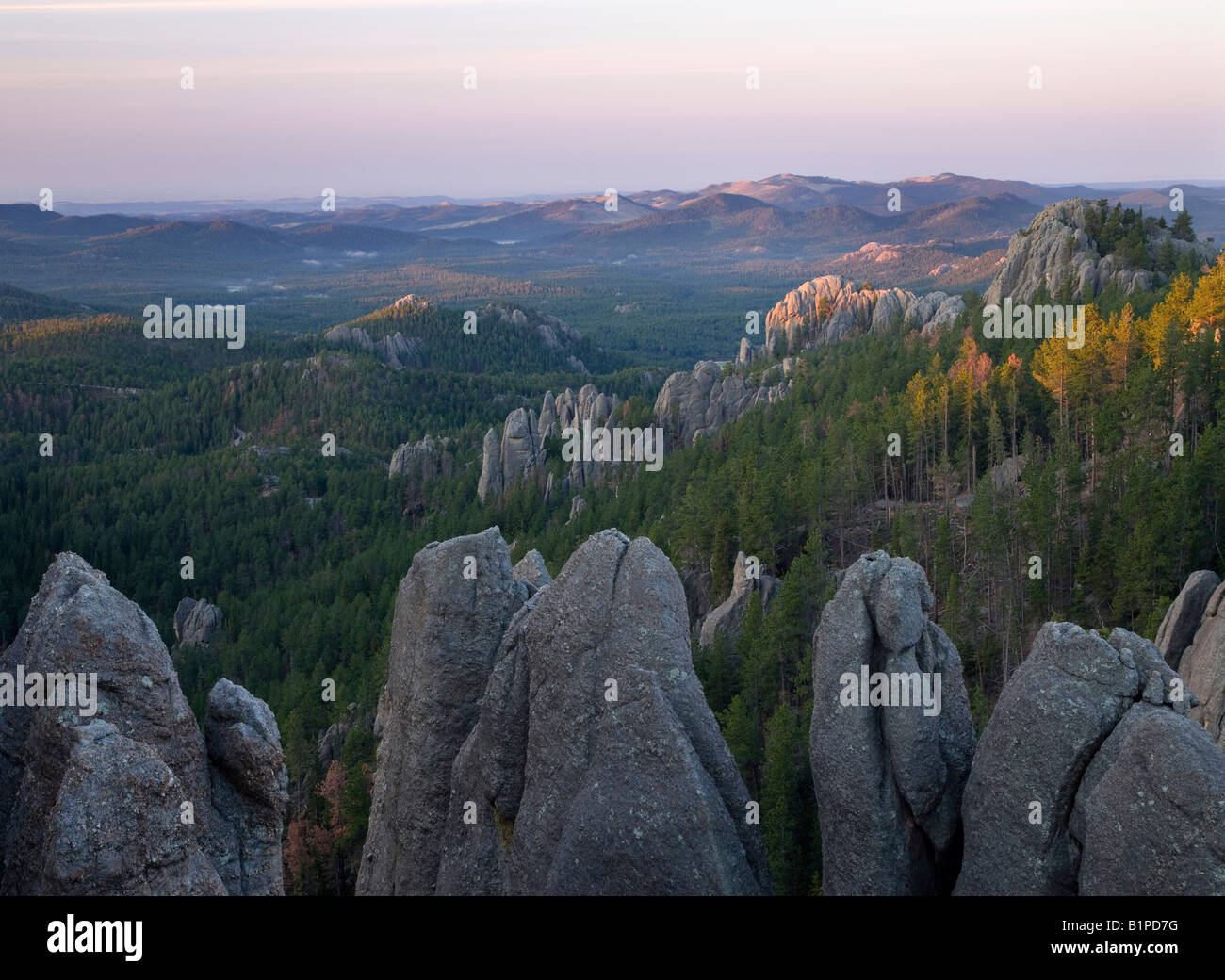 granite spires, Custer State Park, Black Hills, South Dakota Stock ...
