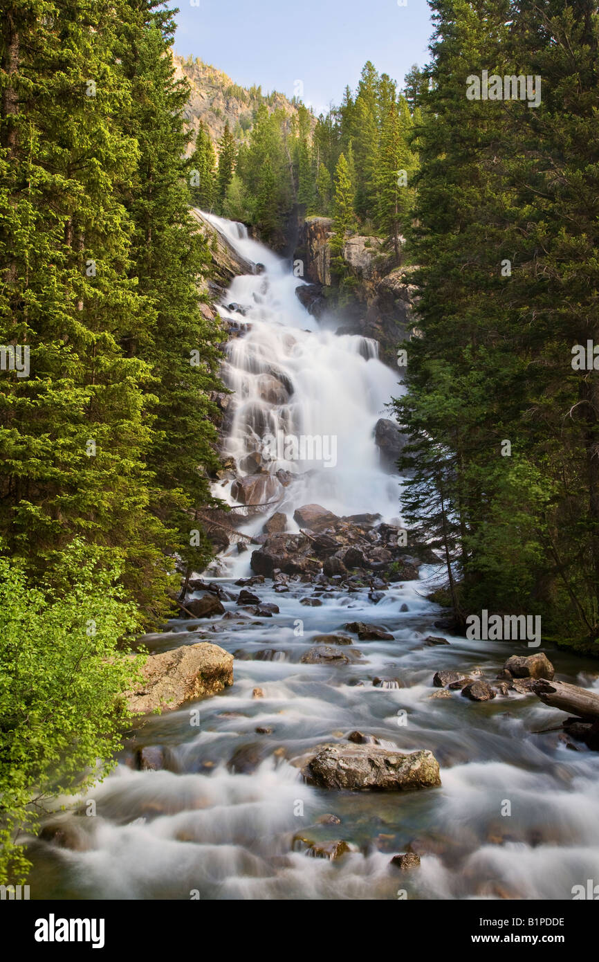 Beautiful scene from hidden forest hi-res stock photography and images ...