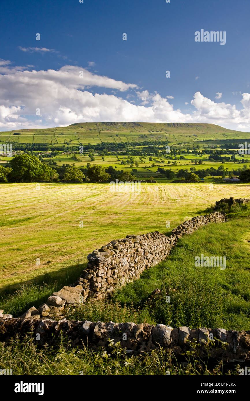 Pen Hill from near Redmire Wensleydale Yorkshire Dales National Park ...
