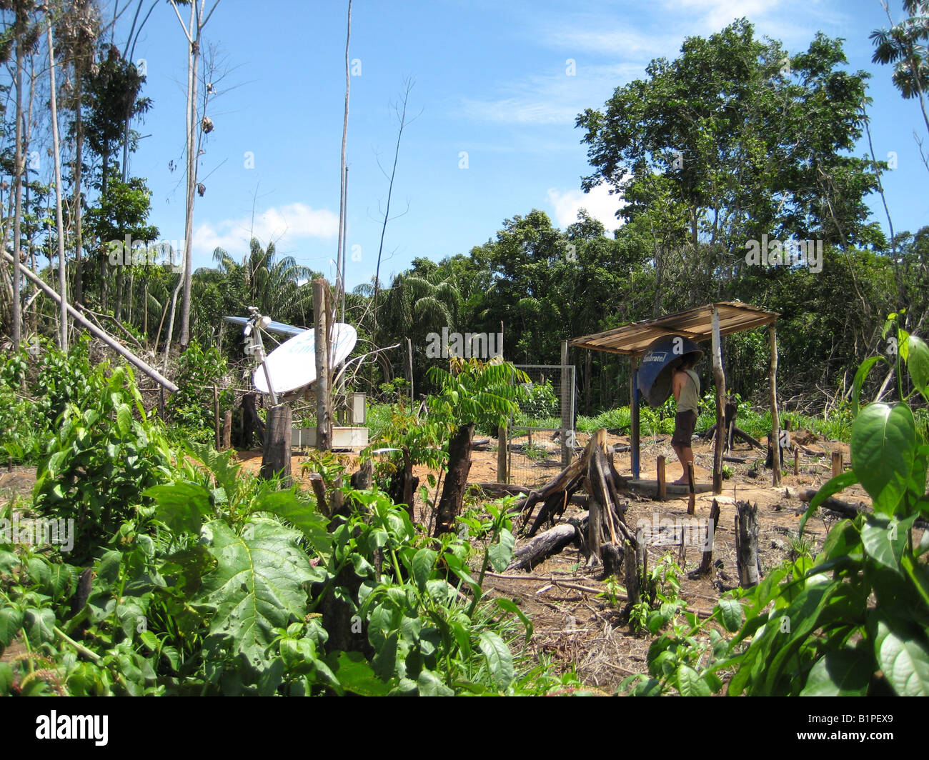 Phone box in the Amazon forest Stock Photo - Alamy