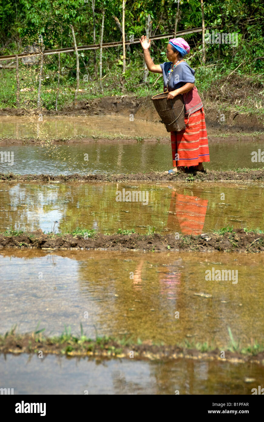 Sowing tribe hi-res stock photography and images - Alamy