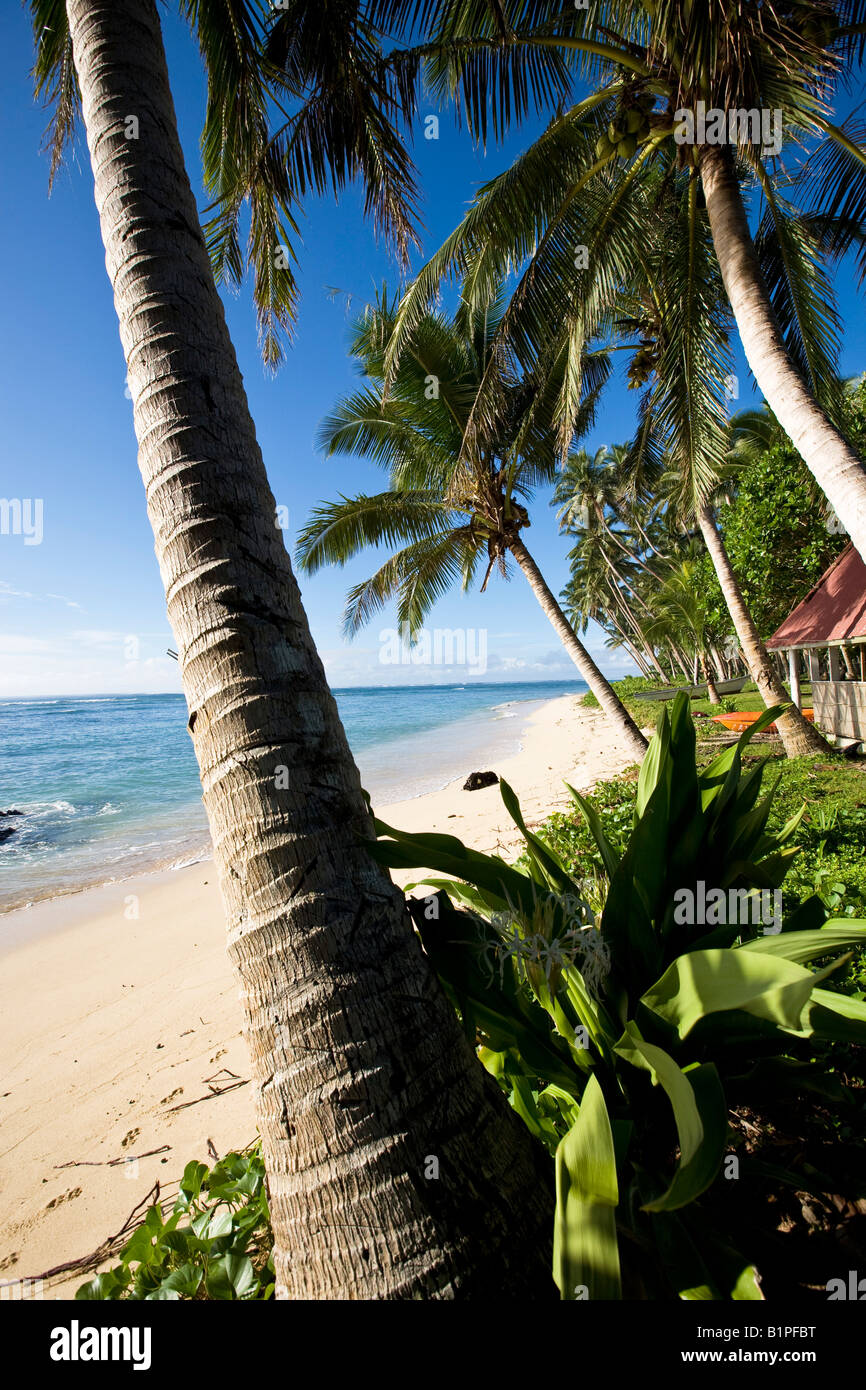 Lavena Beach Taveuni Fiji Stock Photo - Alamy