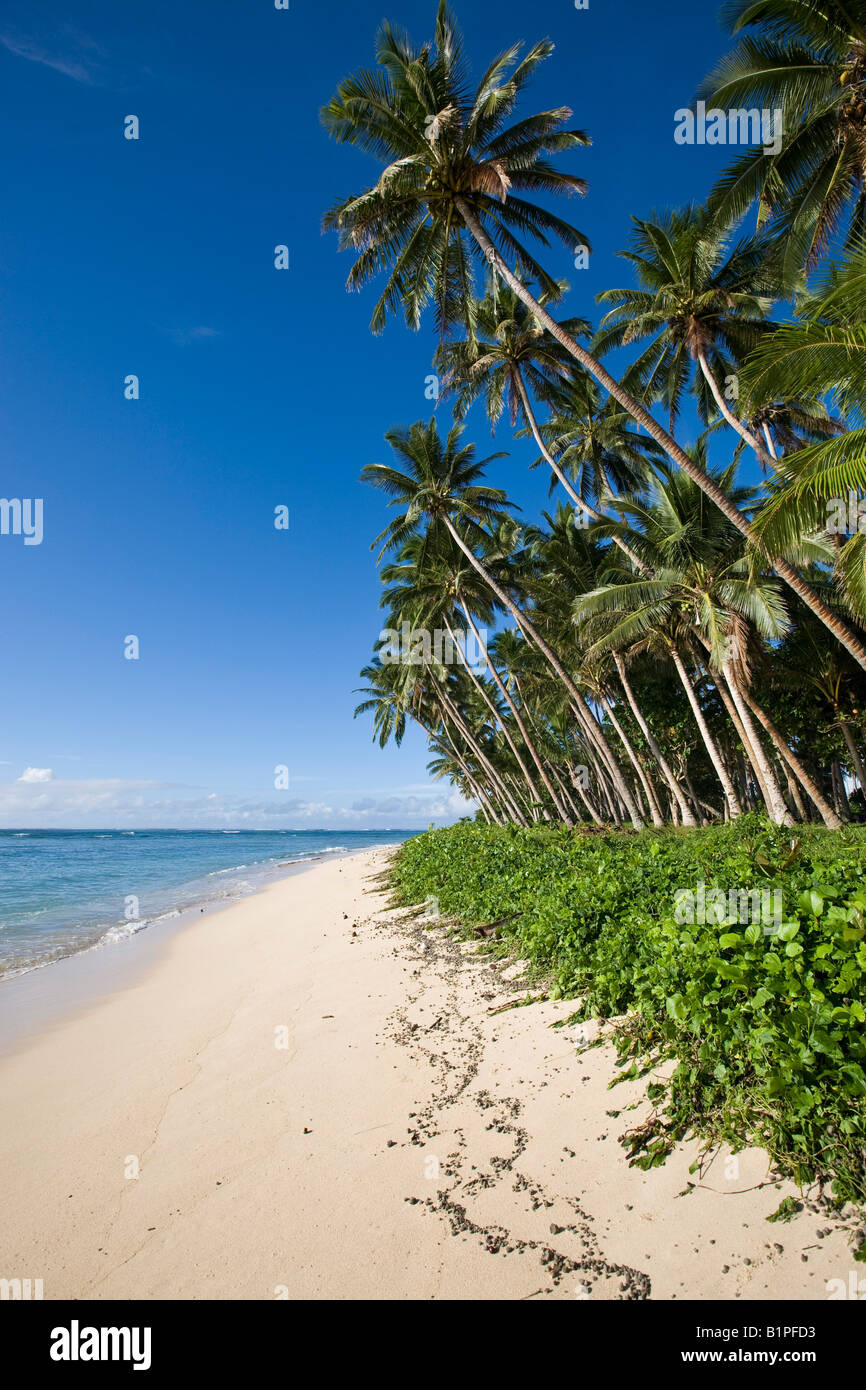 Lavena Beach Taveuni Fiji Stock Photo - Alamy