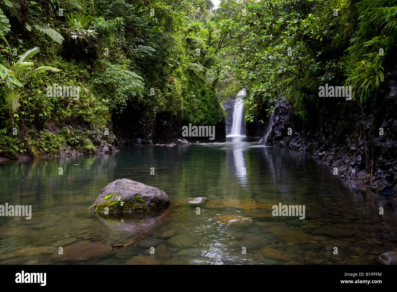 Tavoro National Park Taveuni Fiji Stock Photo - Alamy