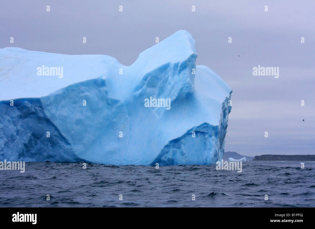 Iceberg off Atlantic coast in Newfoundland and Labrador Canada Stock ...