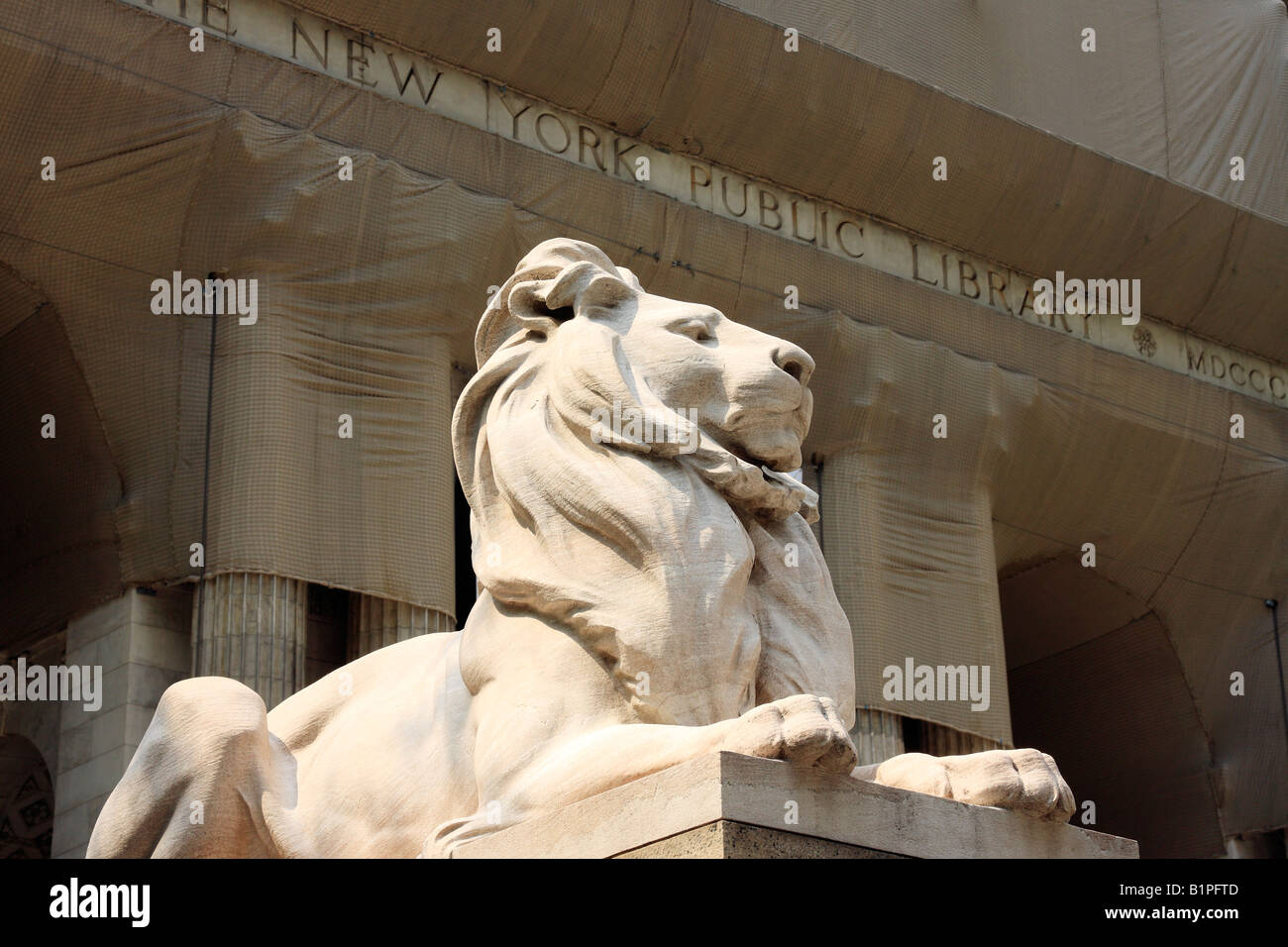 Stone sculpture of a lion in front of the public library - New York ...