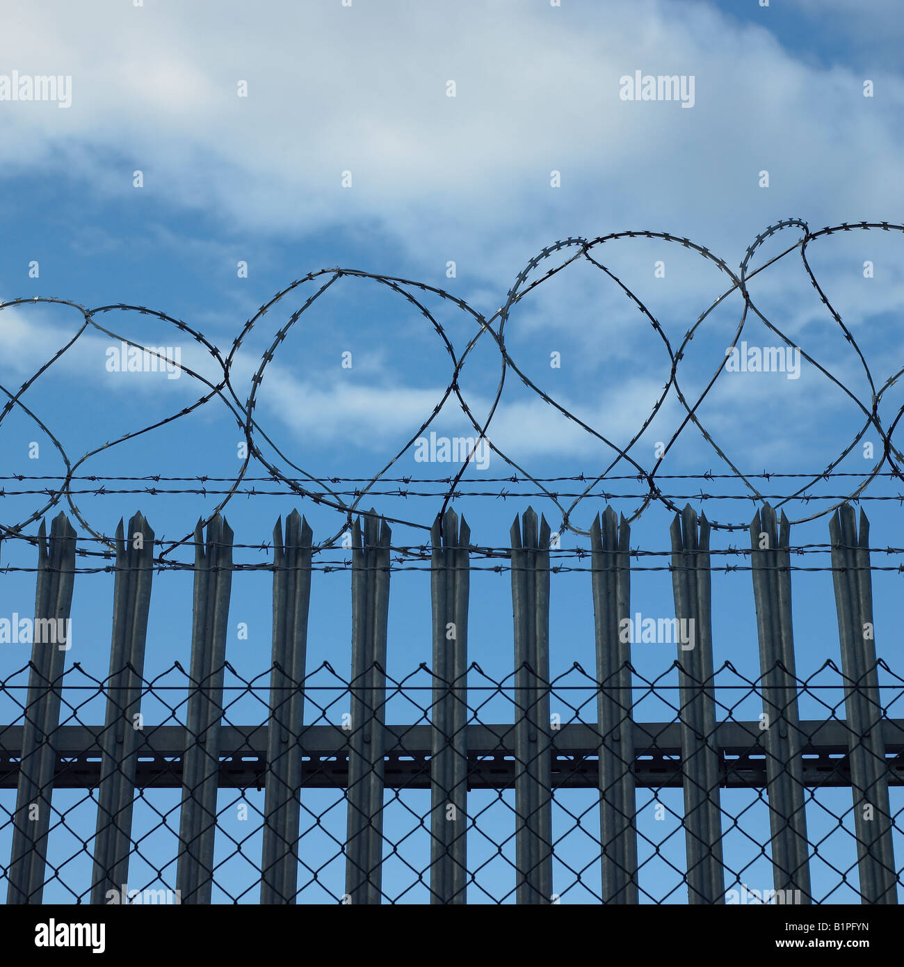 barbed wire fence Stock Photo - Alamy