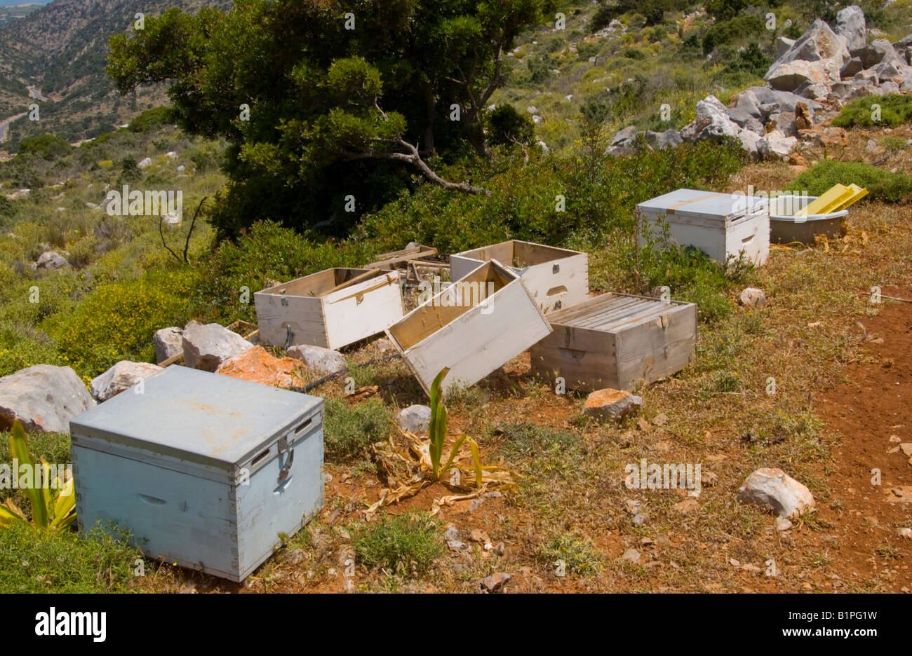 Beekeeping tourism hi-res stock photography and images - Alamy