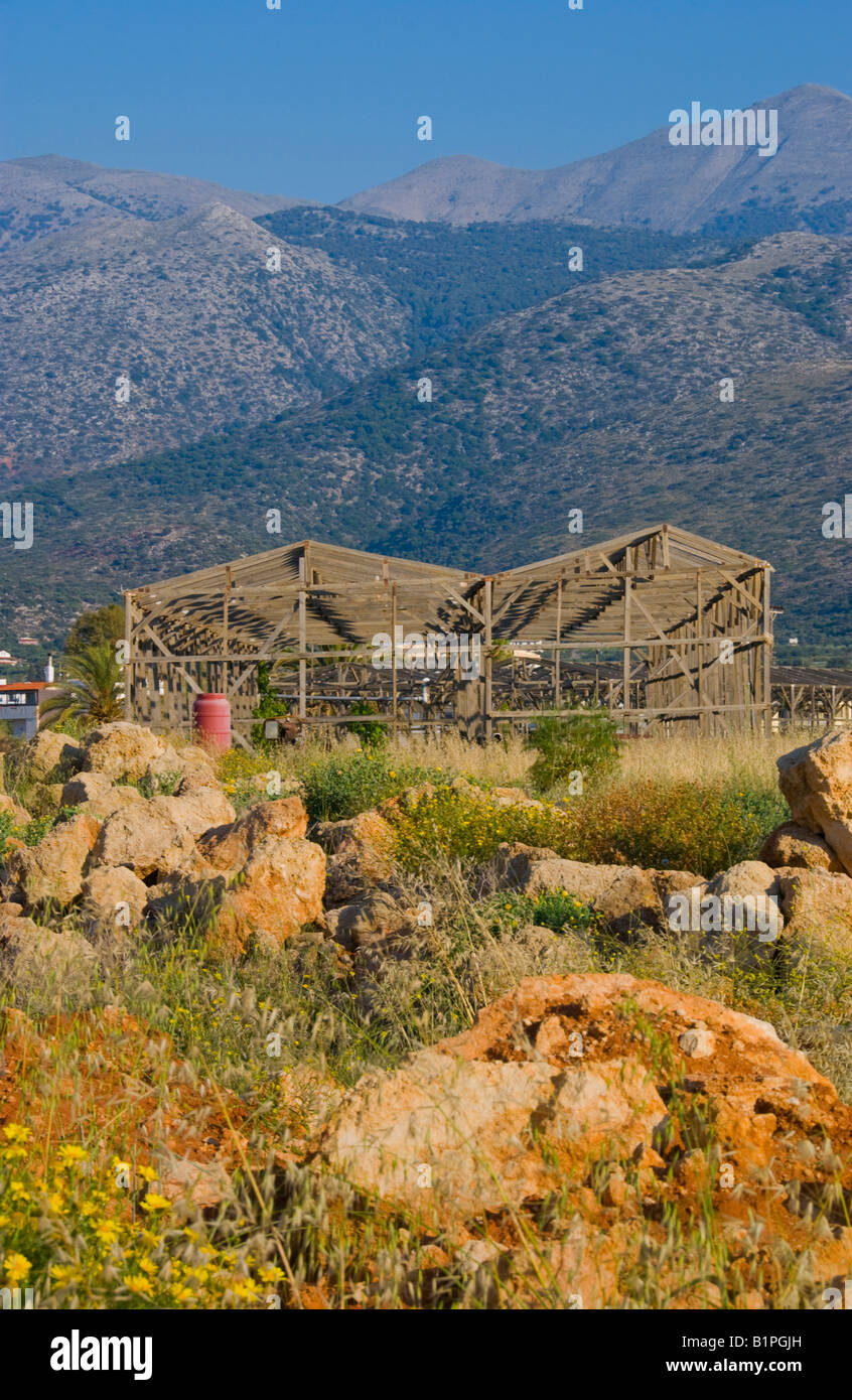 Empty polythene greenhouse near Malia on the Greek Mediterranean island ...