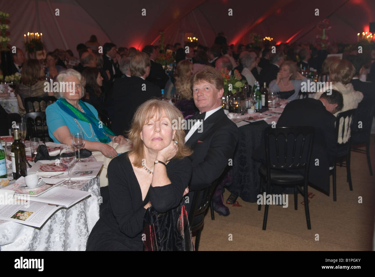 Woman asleep at party hi-res stock photography and images - Alamy