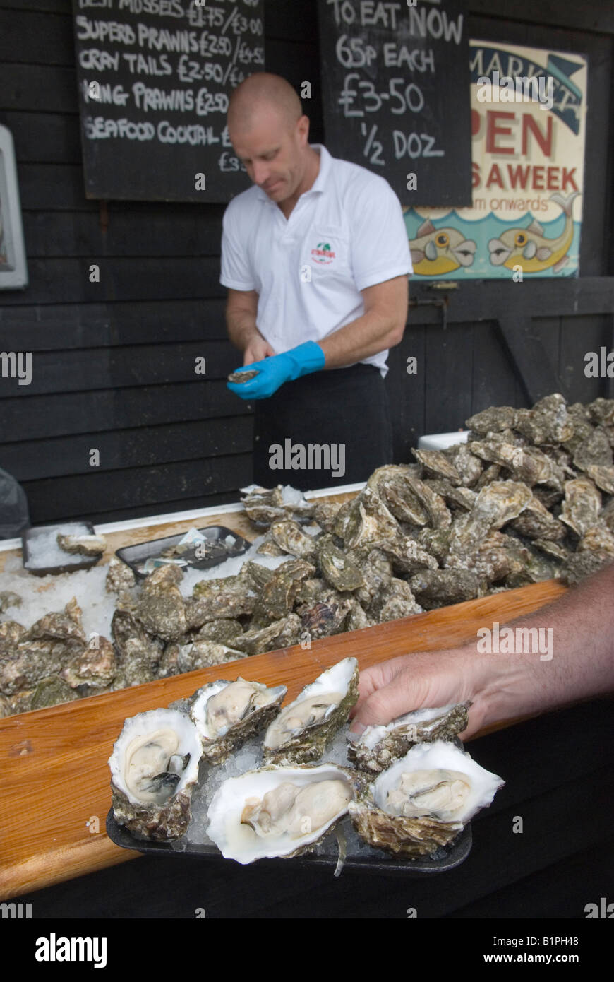 Half a dozen Whitstable Oysters, a traditional plate of English shell ...
