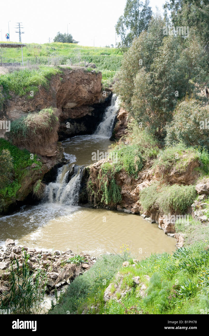 Ma'ayan harod national park hi-res stock photography and images - Alamy
