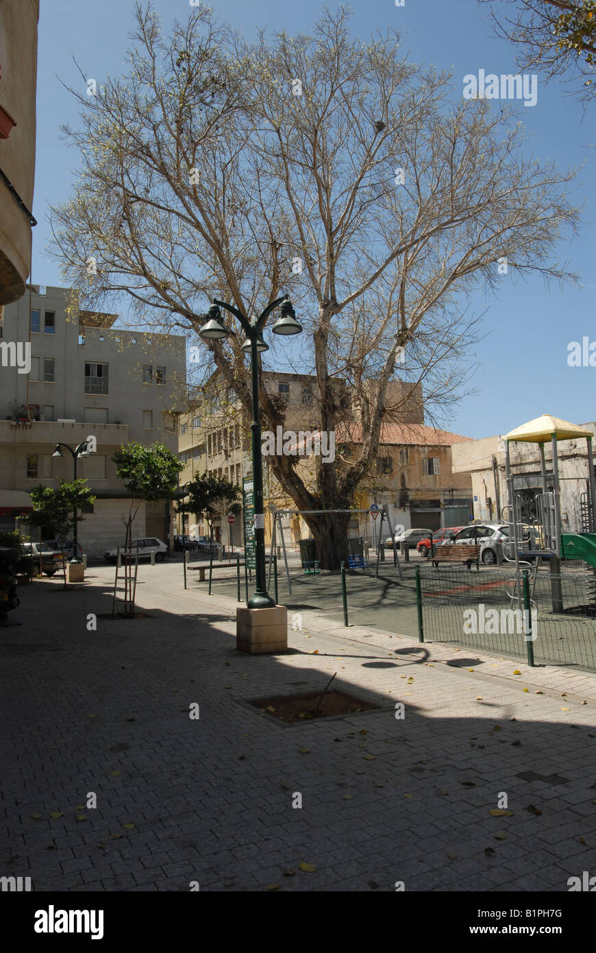 Israel Jaffa Tirtza street Urban park Stock Photo - Alamy