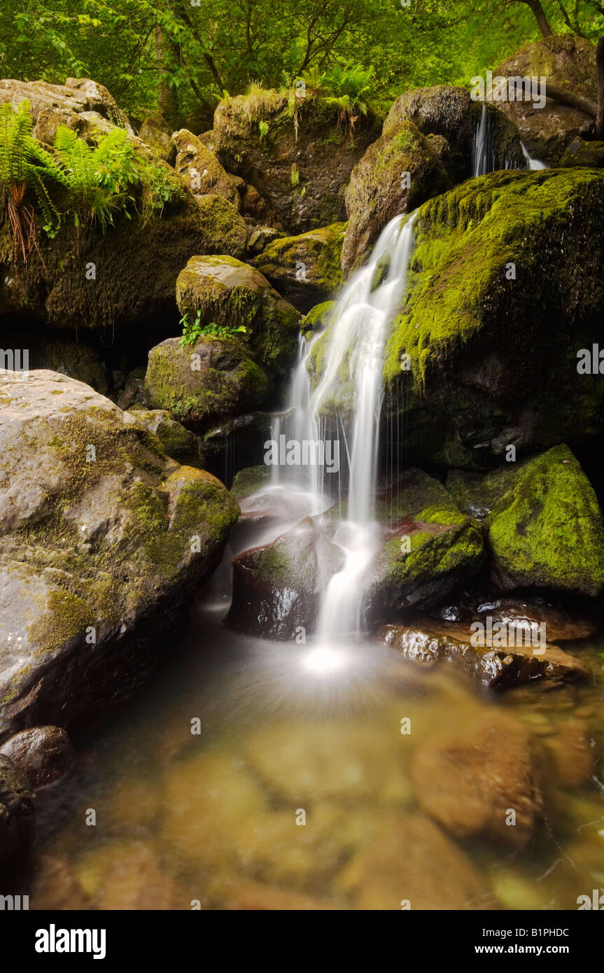 Lodore Woods High Resolution Stock Photography and Images - Alamy