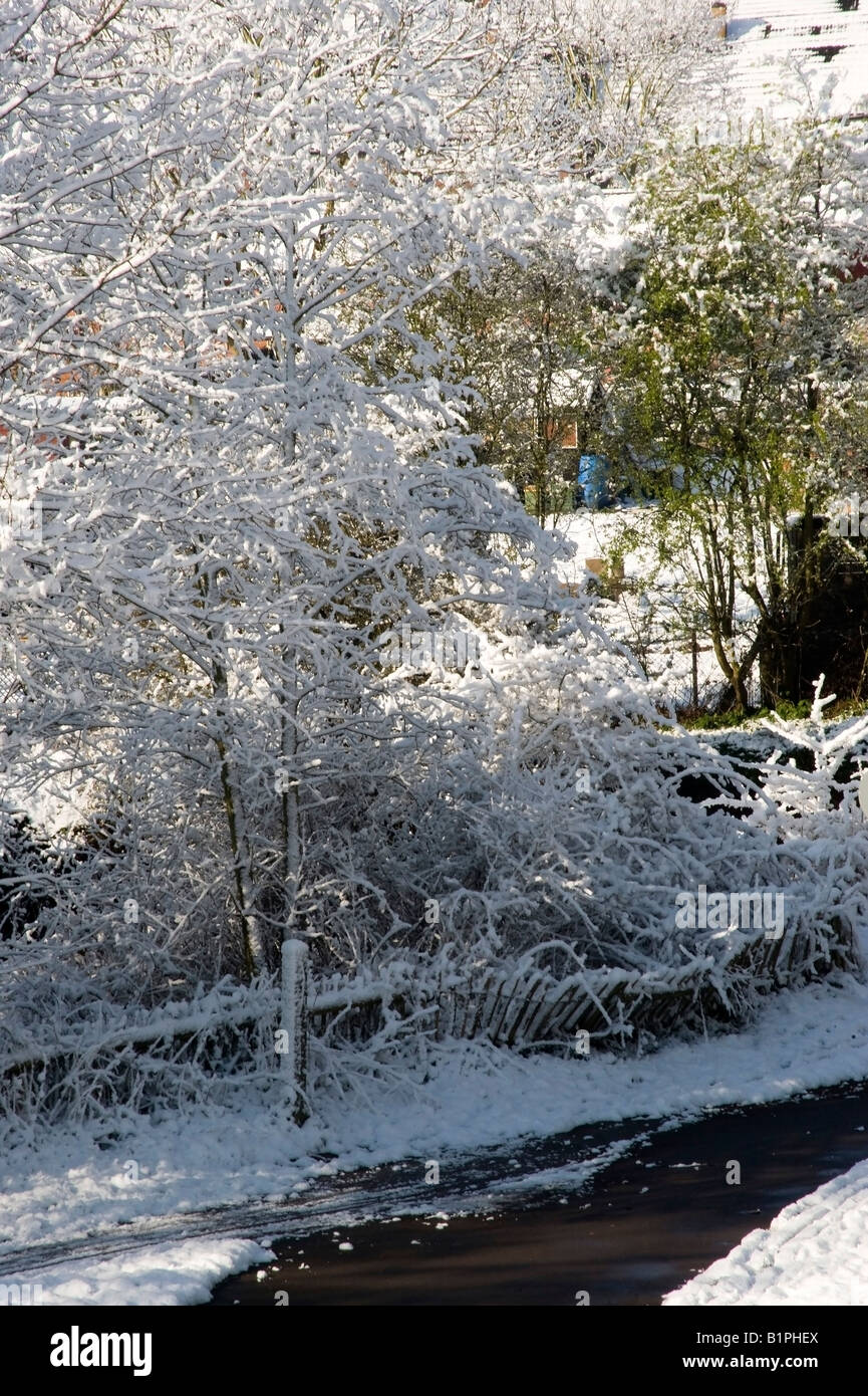 A snow covered rural landscape in the countryside Stock Photo - Alamy