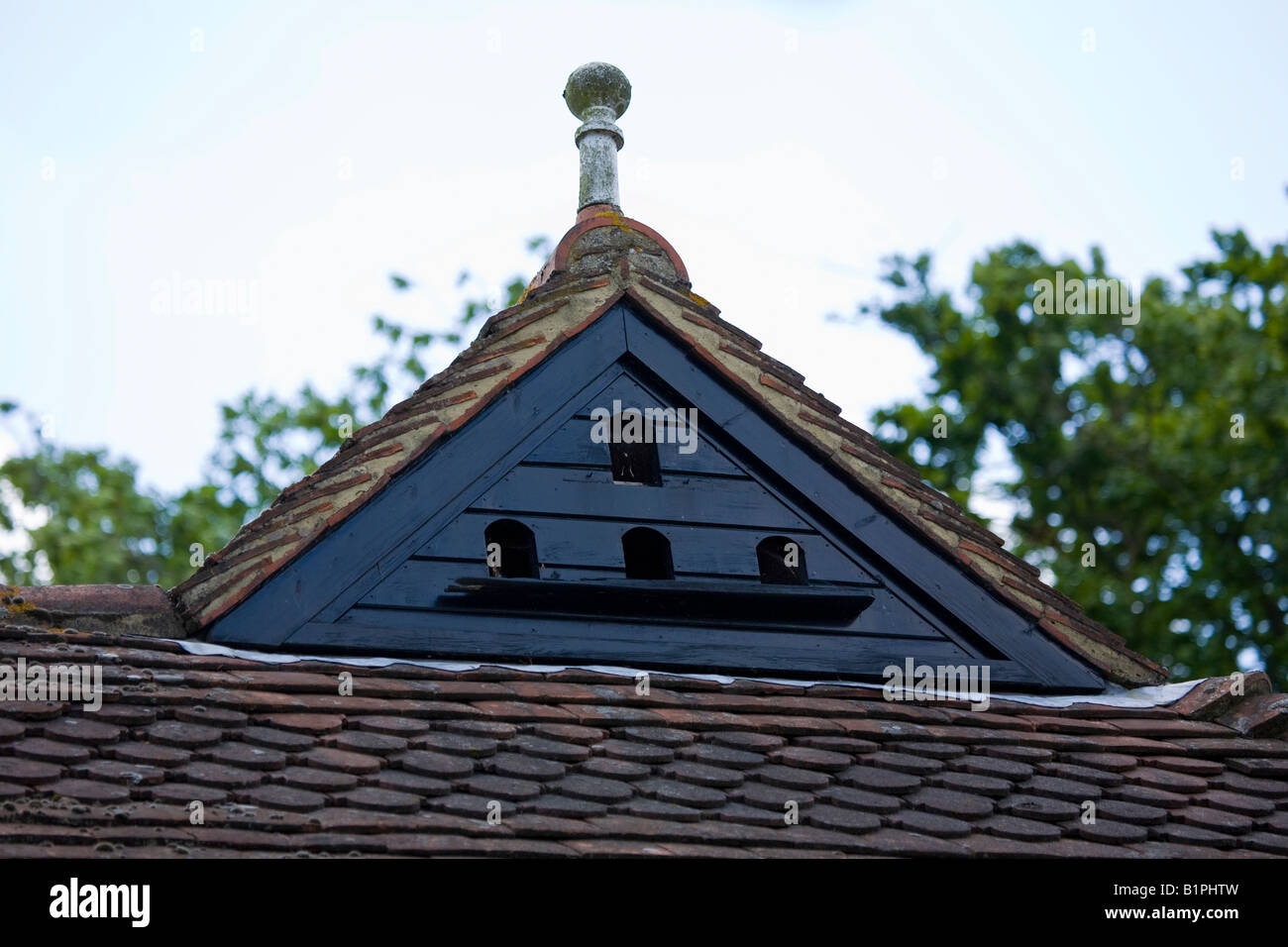 Unusual bird nest box built into apex of roof Stock Photo - Alamy