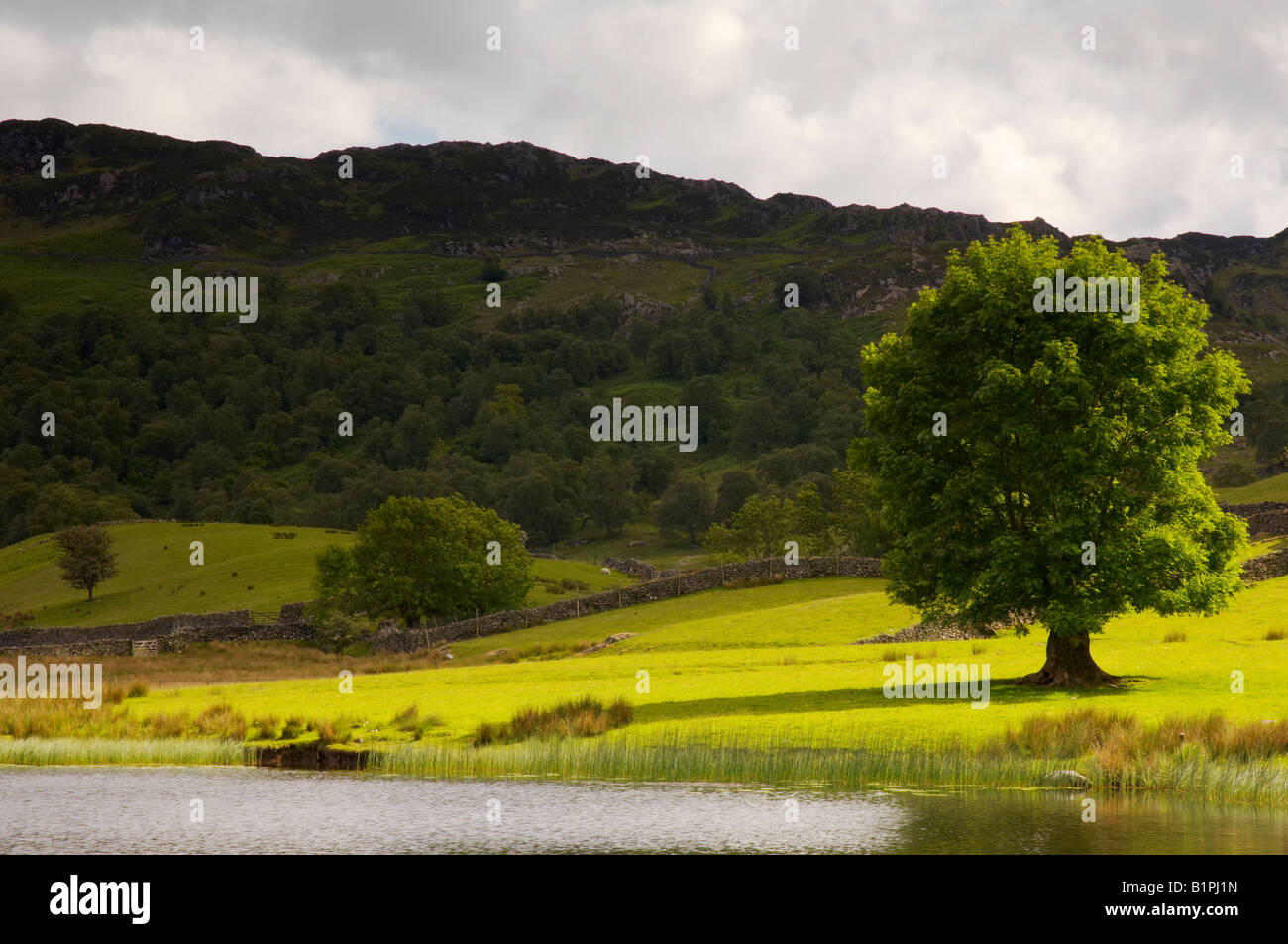 Watendlath tarn keswick hi-res stock photography and images - Alamy