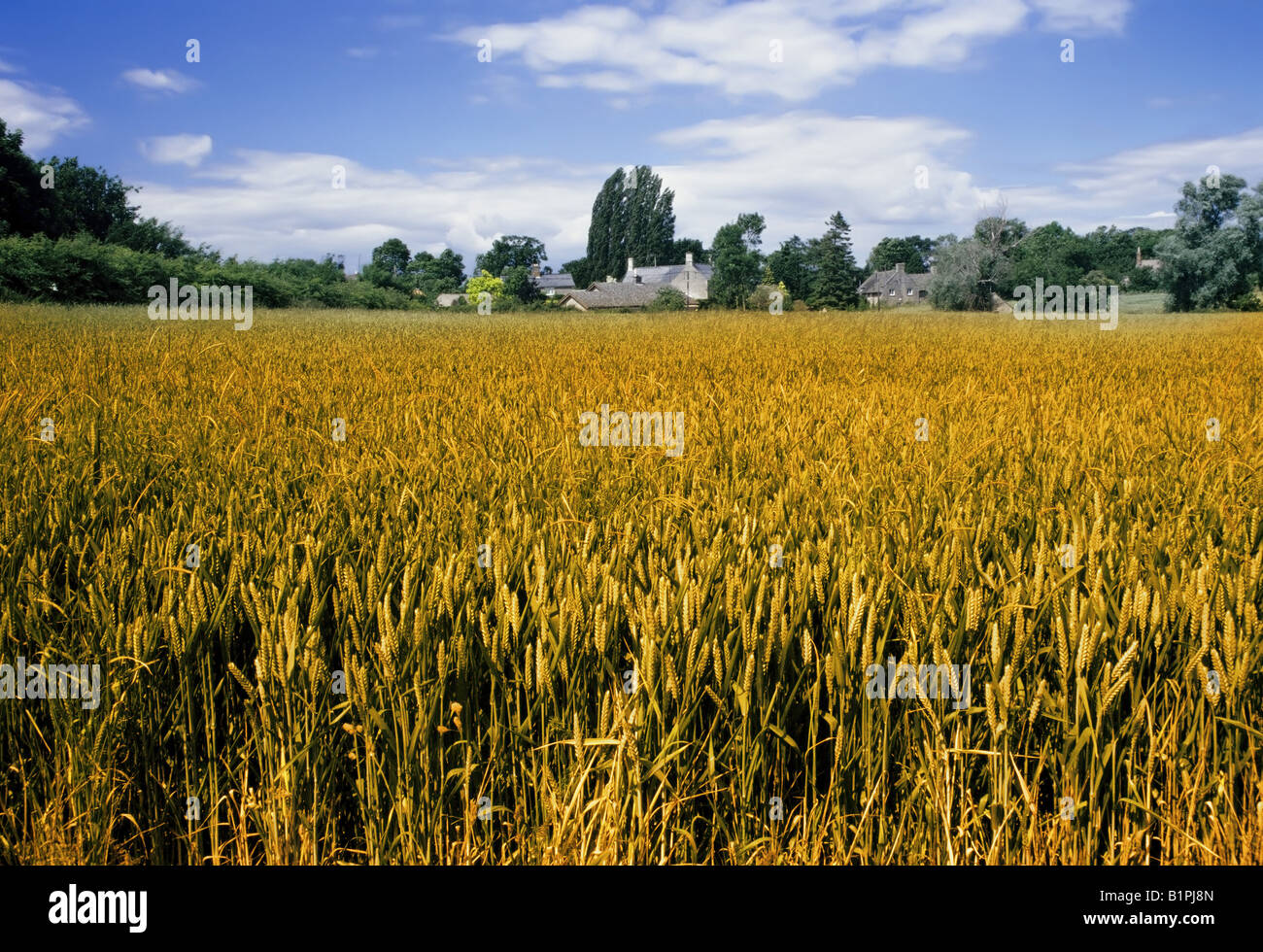 village with houses in countryside Stock Photo - Alamy