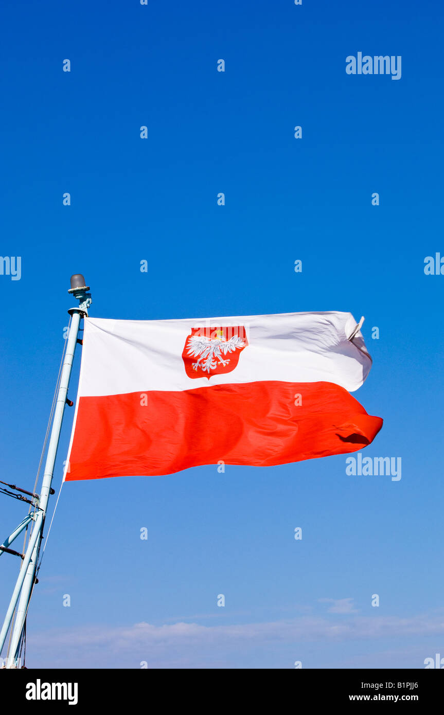 Polish flag hi-res stock photography and images - Alamy