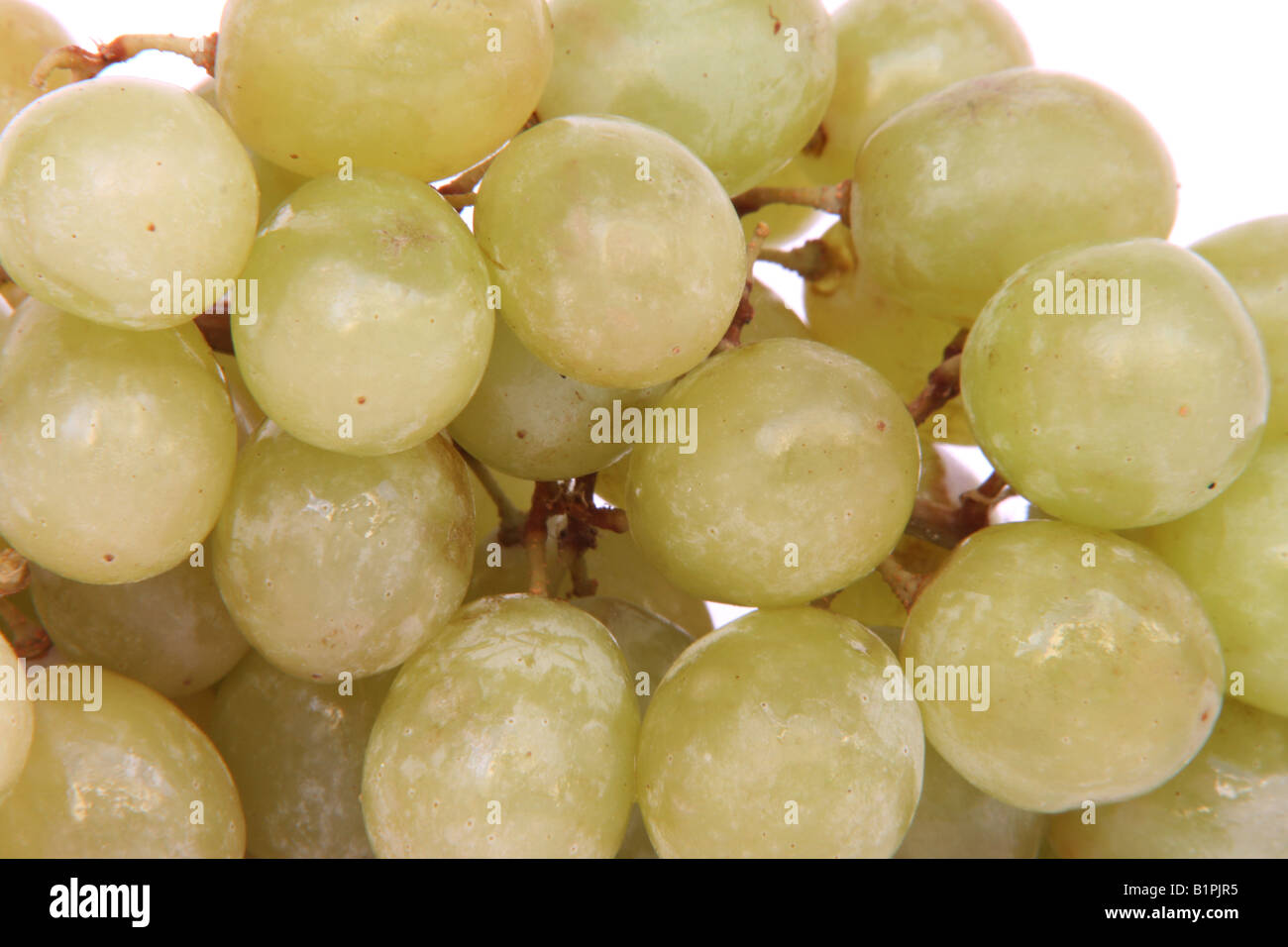 closeup of grapes for texture and background use Stock Photo - Alamy