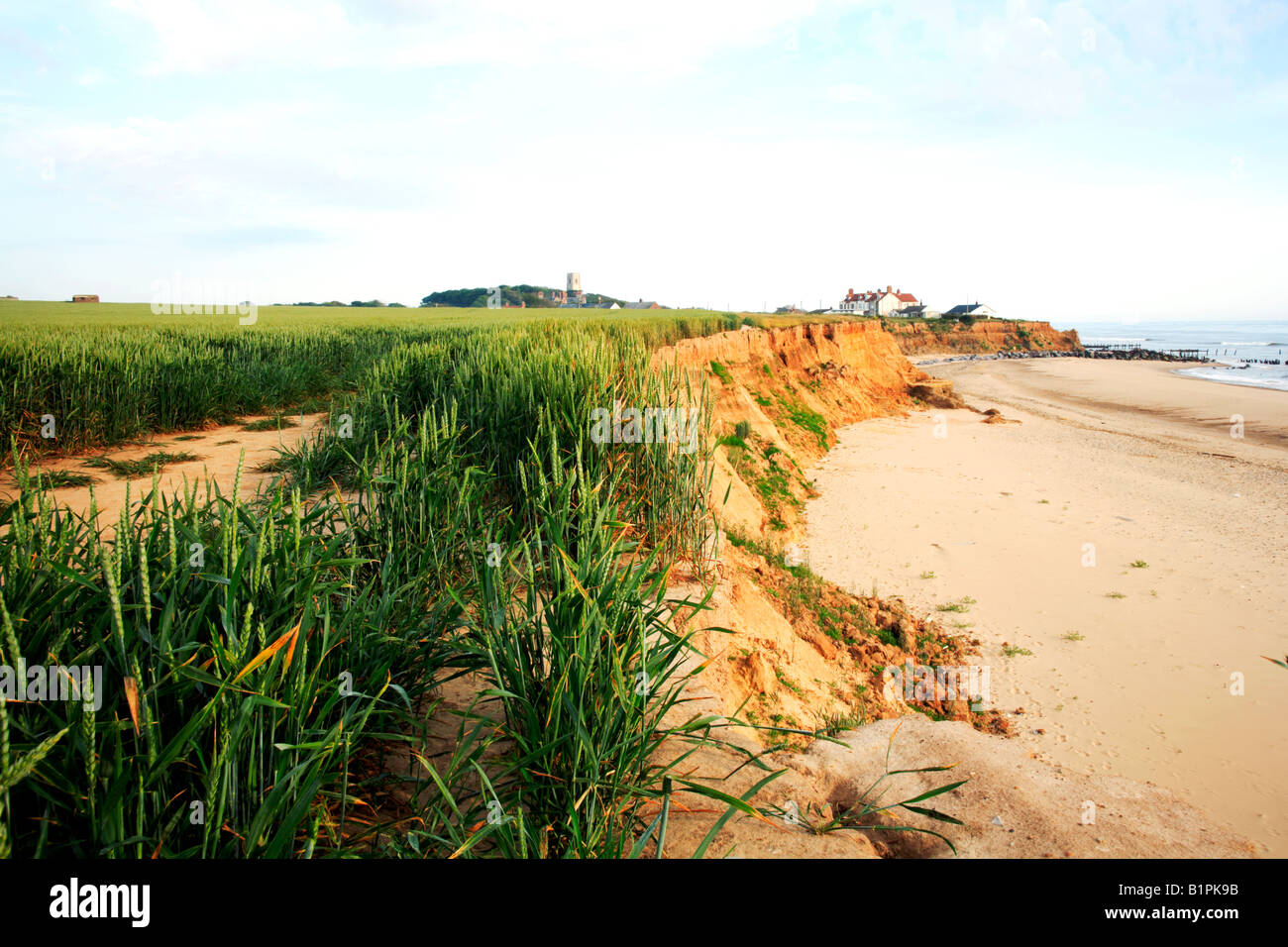 Rapid cliff erosion at Happisburgh, Norfolk, UK, resulting in loss of ...