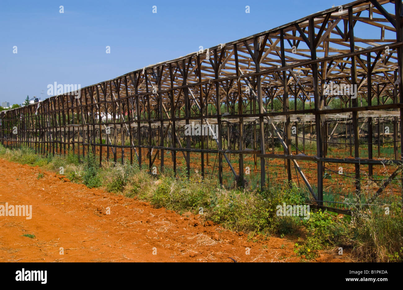 Timber frame greenhouse hi-res stock photography and images - Alamy