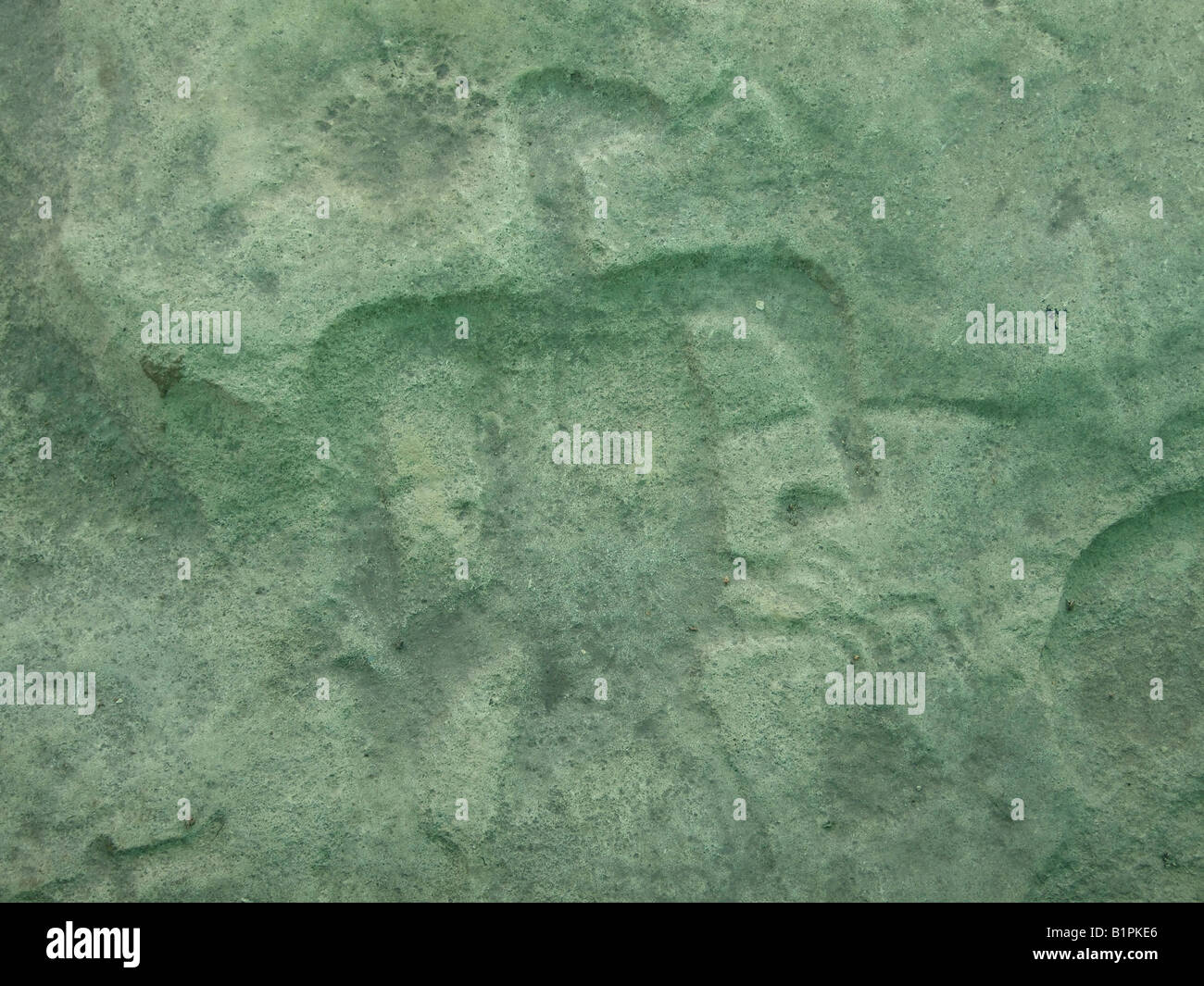 USA Missouri Washington State Park Petroglyph Archeological Site Native ...