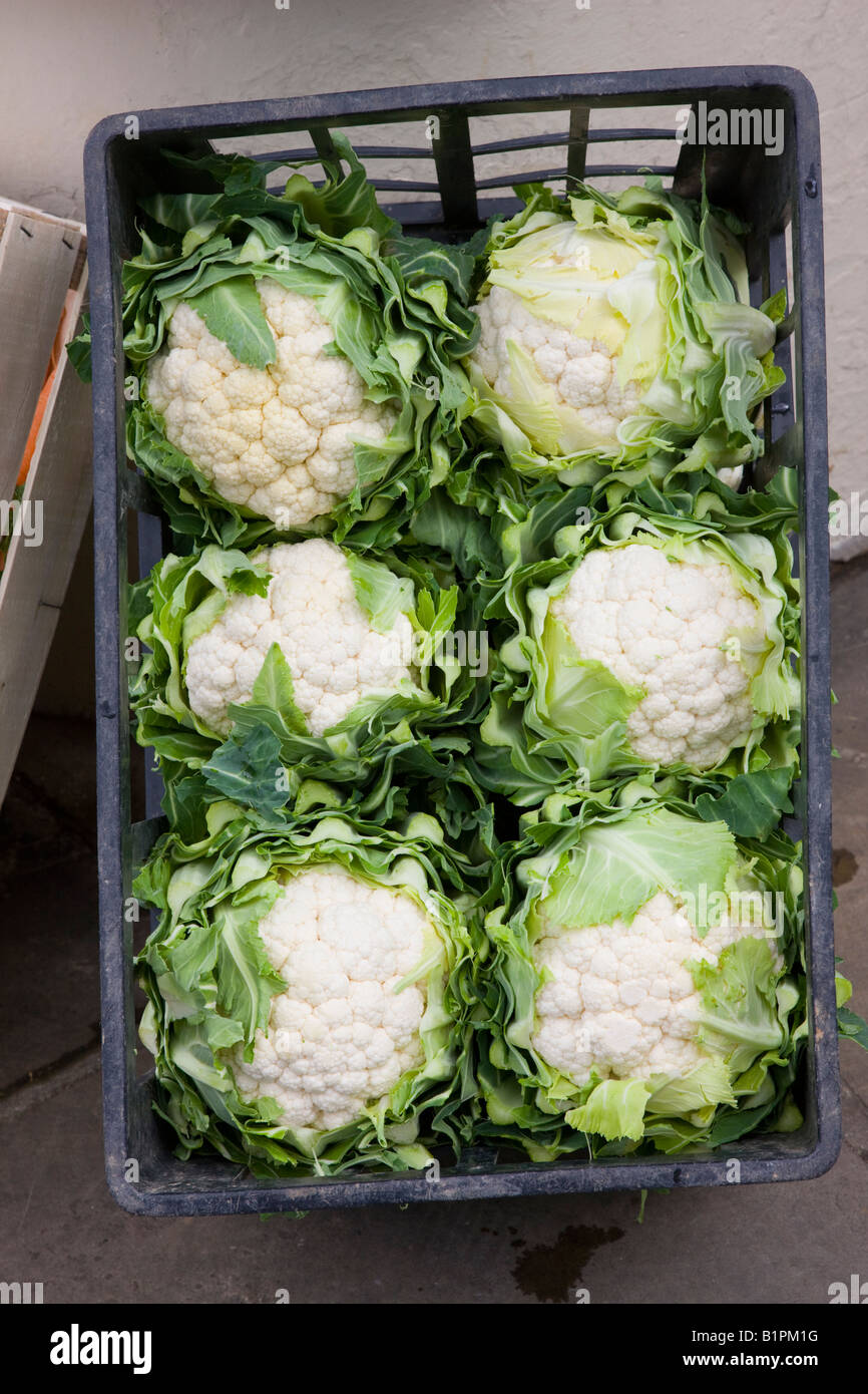 Cauliflowers in crate outside grocer s shop Stock Photo - Alamy