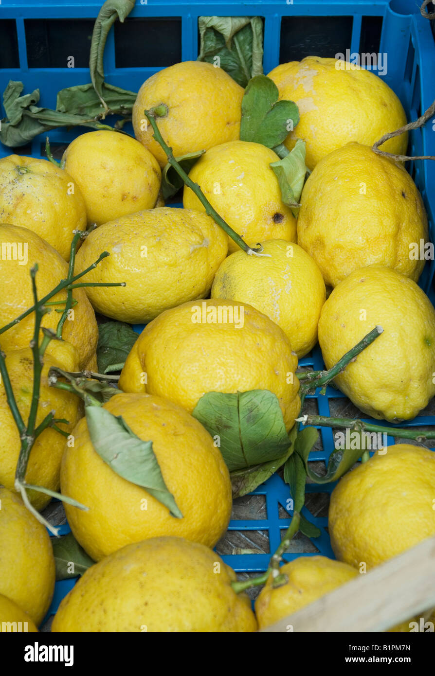 Italian grocers hi-res stock photography and images - Alamy