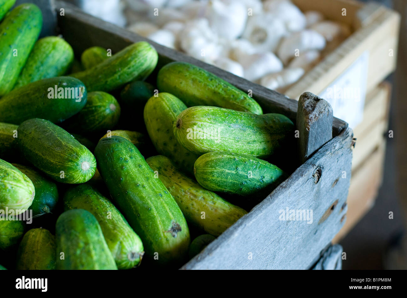 Fresh cucumbers at an open air market, USA Stock Photo - Alamy