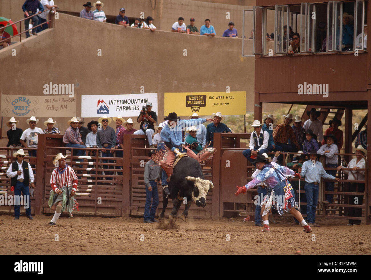 Gallup, New Mexico, USA - Native American cowboy rides a bull in an all ...