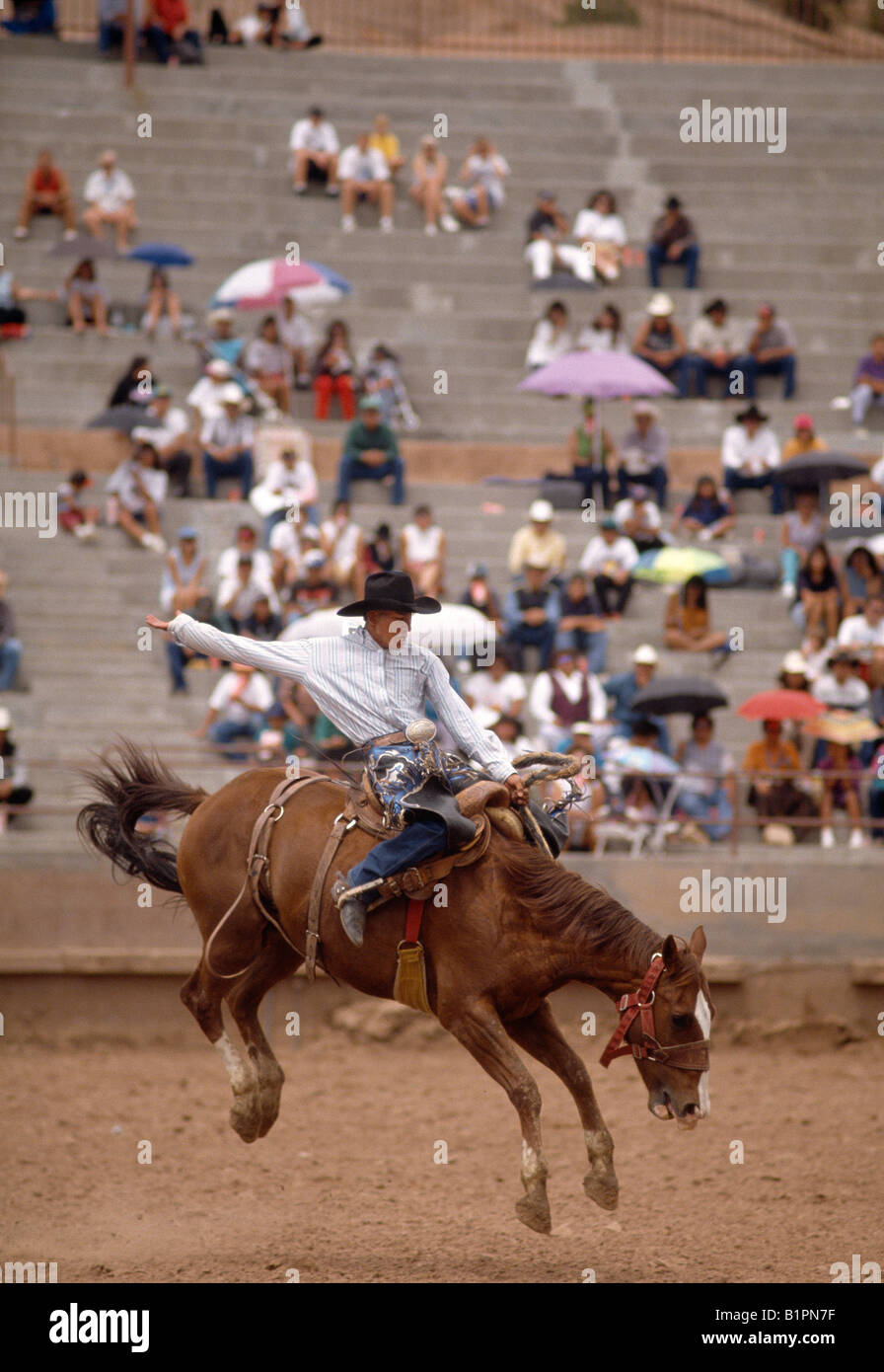 Gallup, New Mexico, USA - Native American cowboy rides a saddle bronc ...