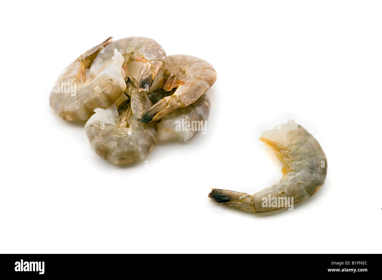 group of raw headless shrimps isolated on white Stock Photo - Alamy