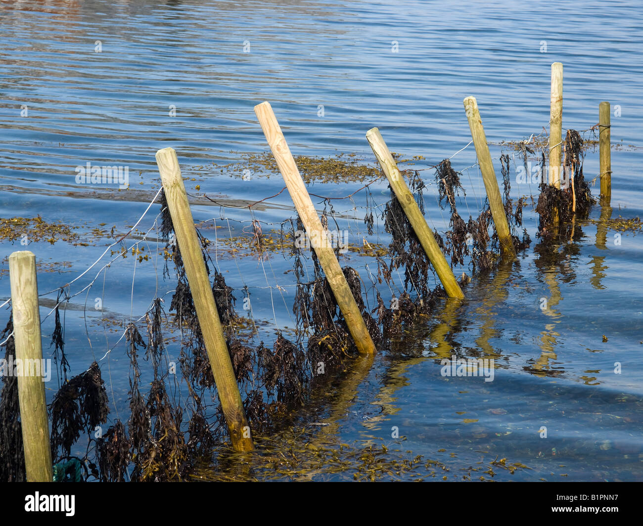 A fence in water.Detail Stock Photo - Alamy