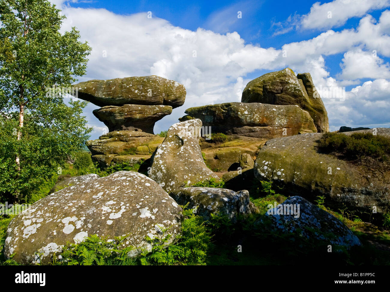 Brimham Rocks in Nidderdale in North Yorkshire England UK Stock Photo ...