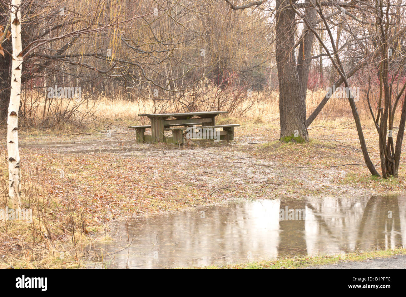 Isle Boucherville in the Fall Stock Photo - Alamy