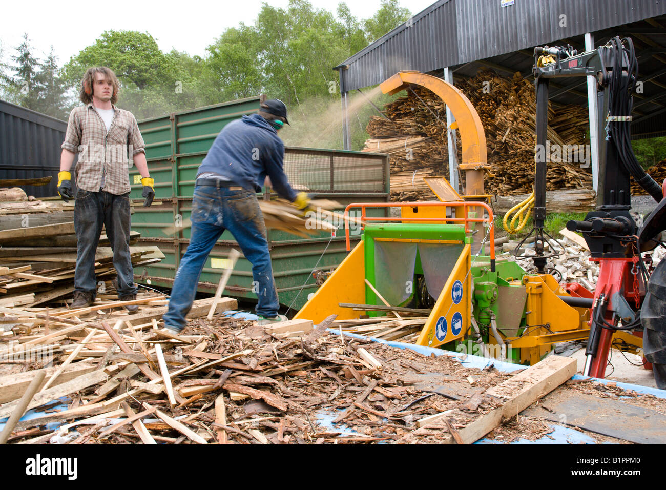 Large shredder chipping wood Stock Photo - Alamy