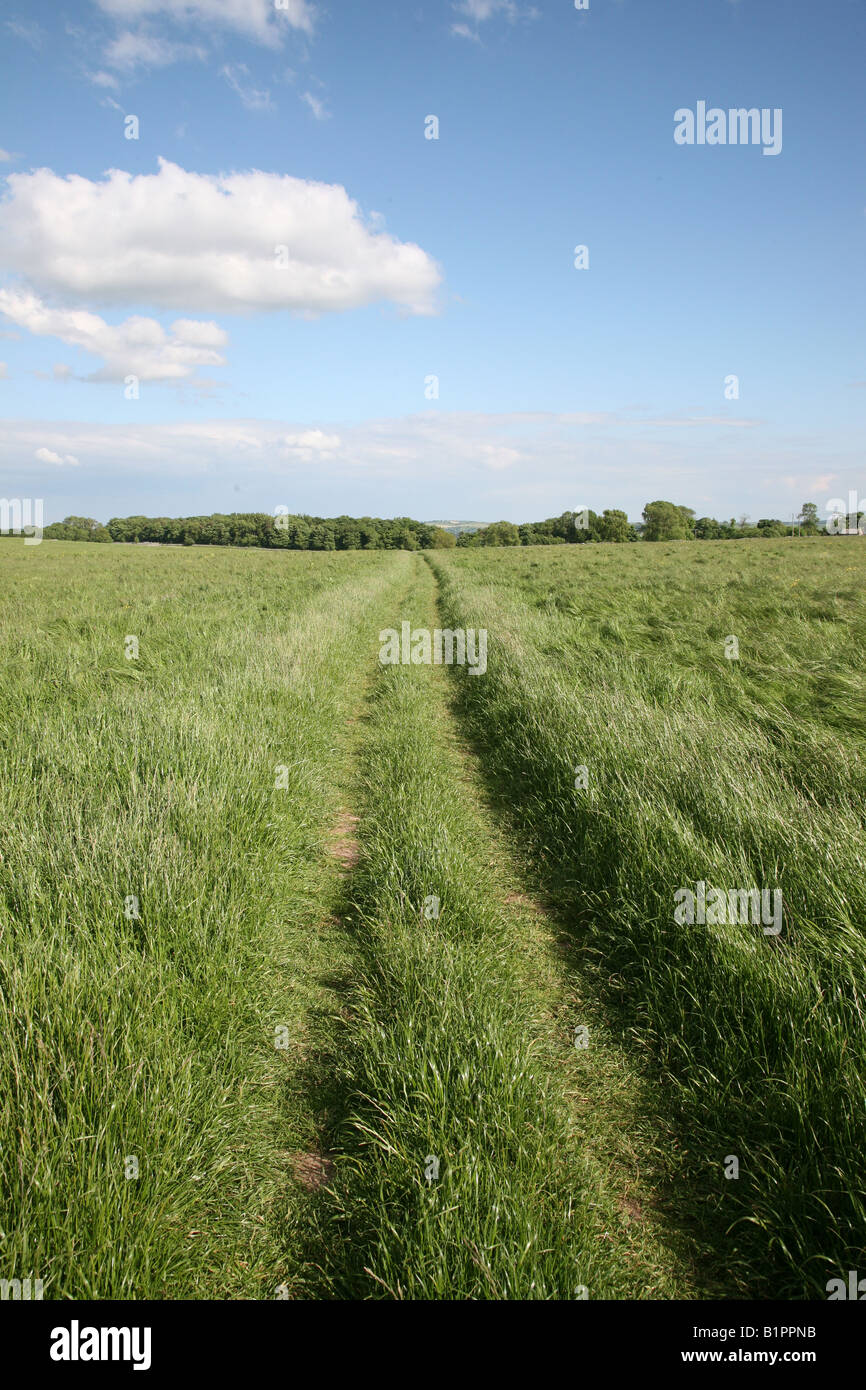 Cloud meadow hi-res stock photography and images - Alamy