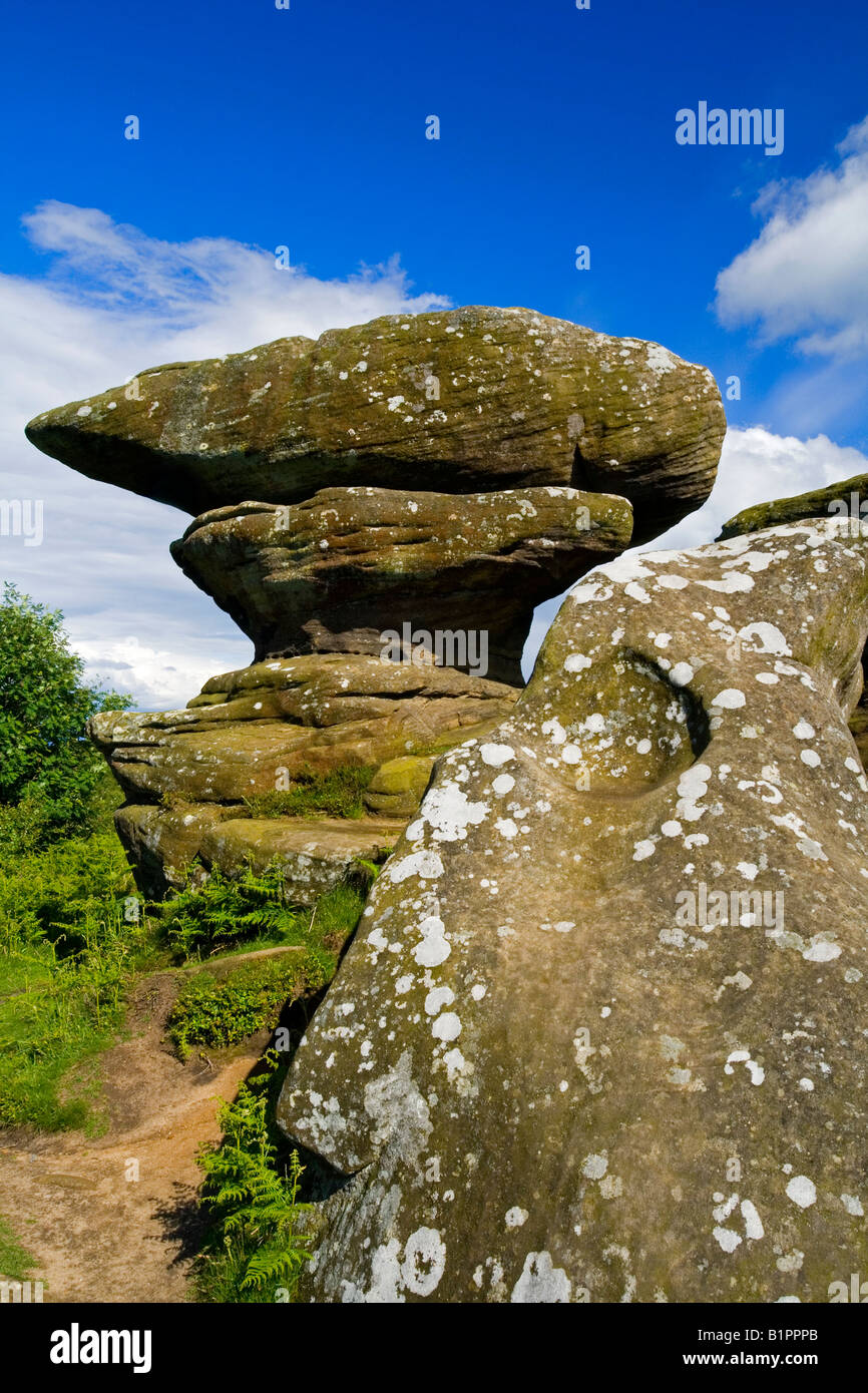 Brimham Rocks in Nidderdale in North Yorkshire England UK Stock Photo ...