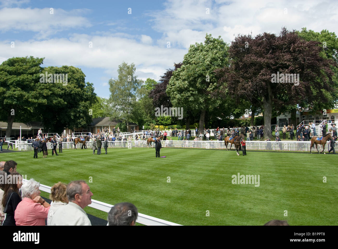 The parade ring Stock Photo - Alamy
